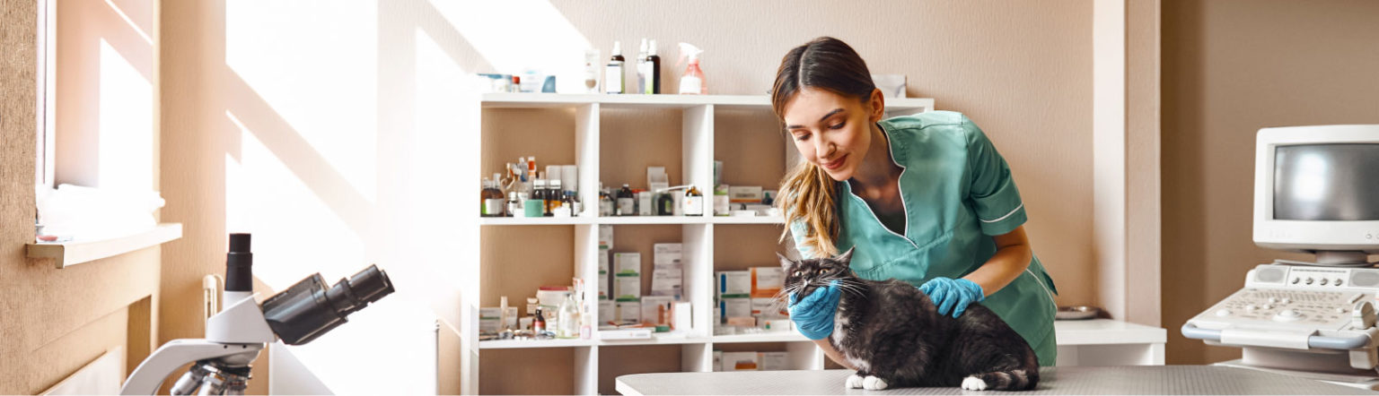 Pet Care Discount Program | Pet Healthcare Savings | United Pet Care
