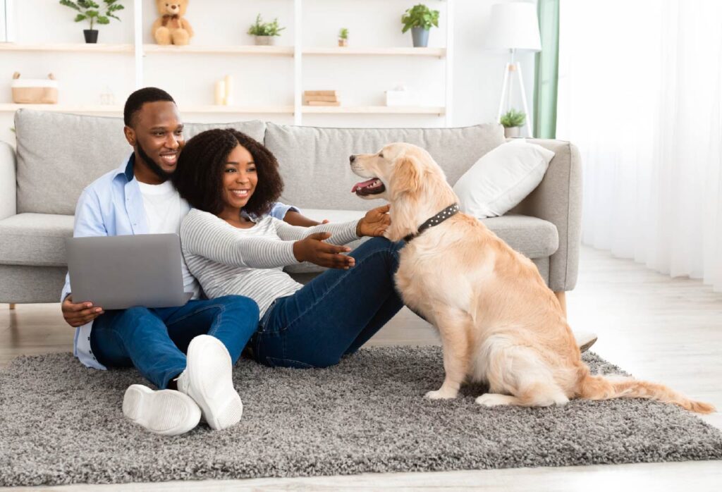 Veterinarian Partnership Information | United Pet Care