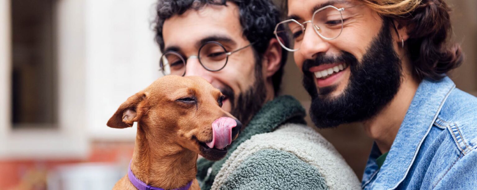 Pet Care Discount Program | Pet Healthcare Savings | United Pet Care