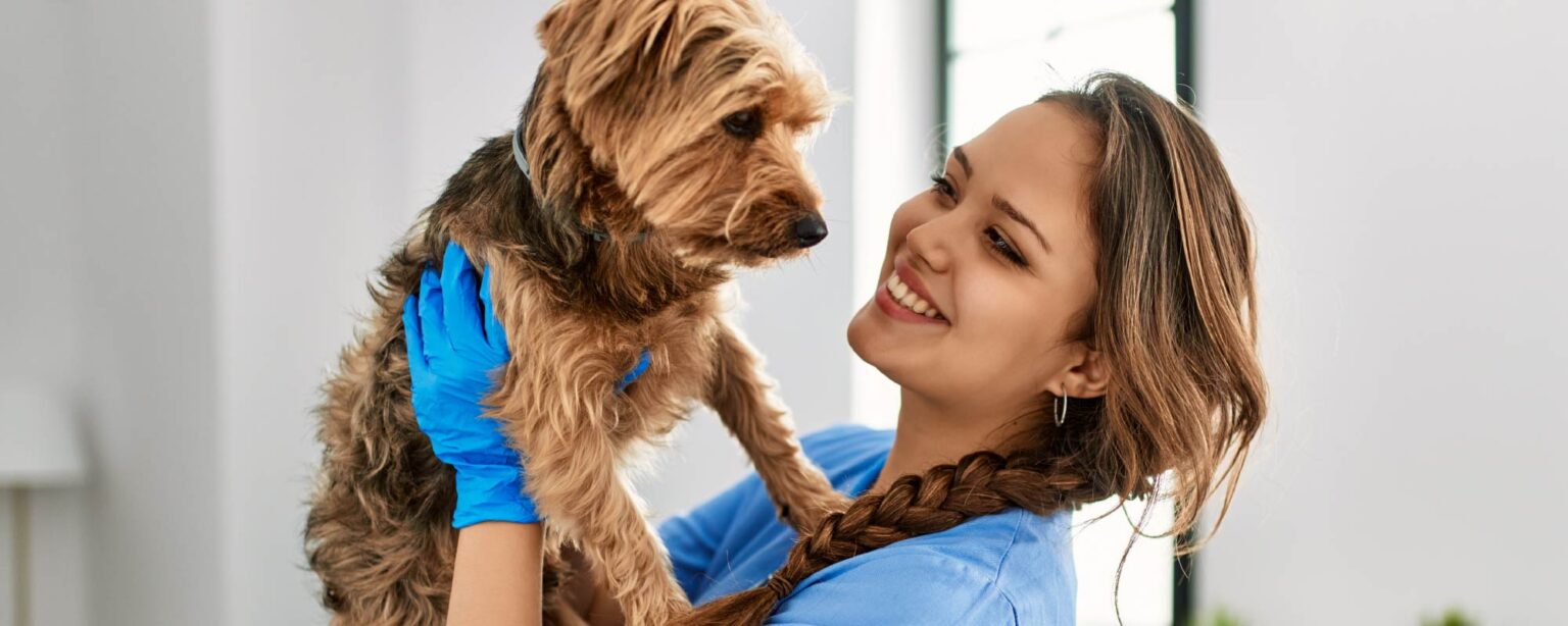 Pet Care Discount Program | Pet Healthcare Savings | United Pet Care